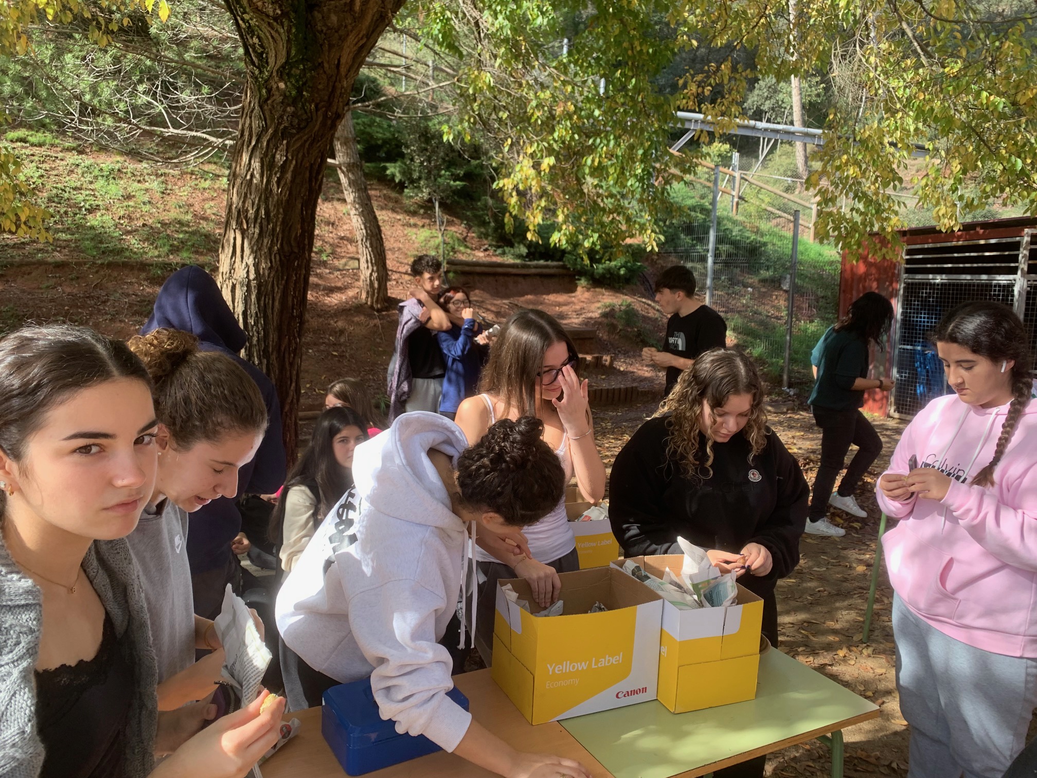 Festa de la Castanyada - INS Quercus
